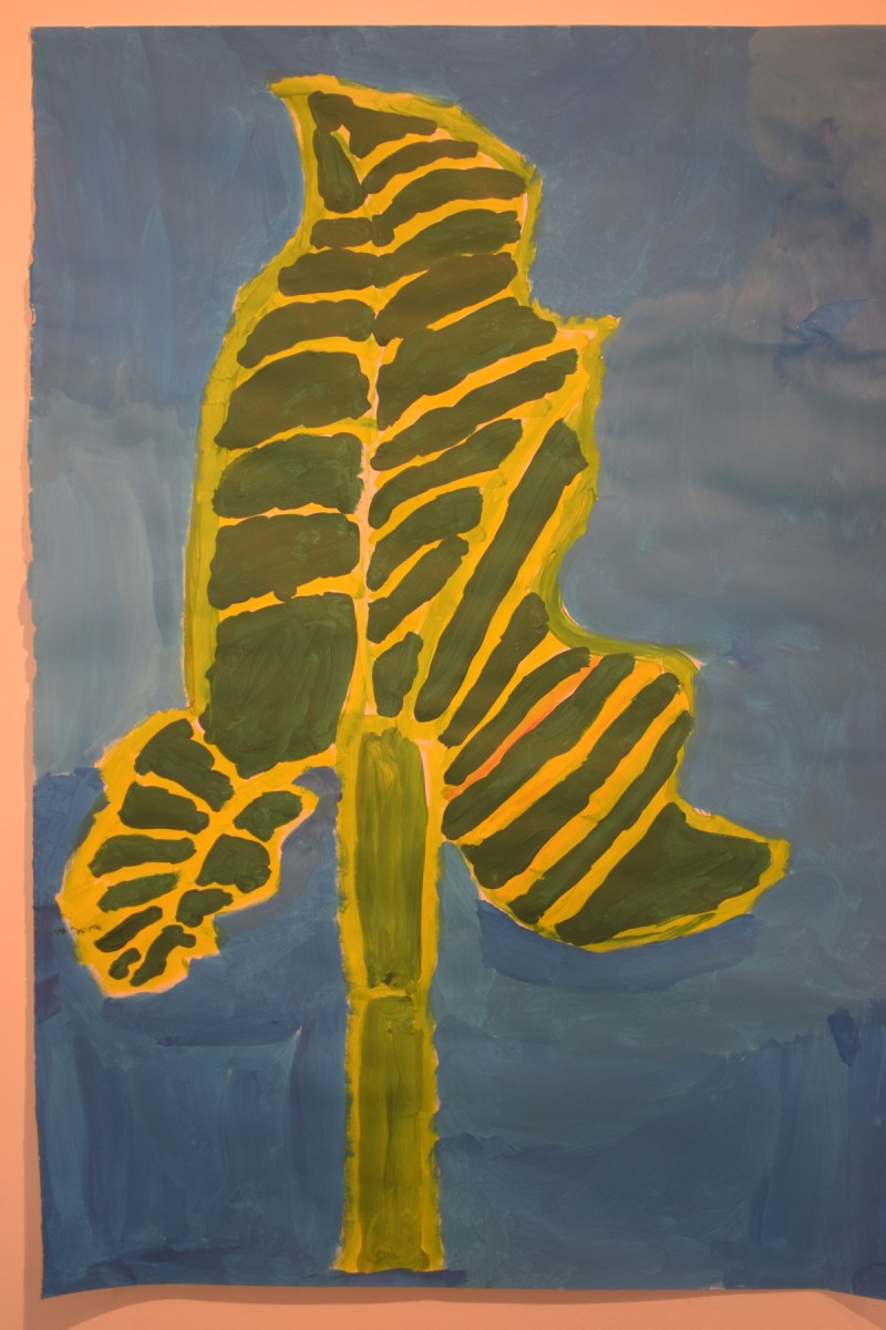 Some more proud NDIS participant moments | Anne Riggs